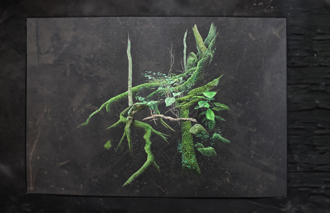 Botanical Illustration Workshop PACC